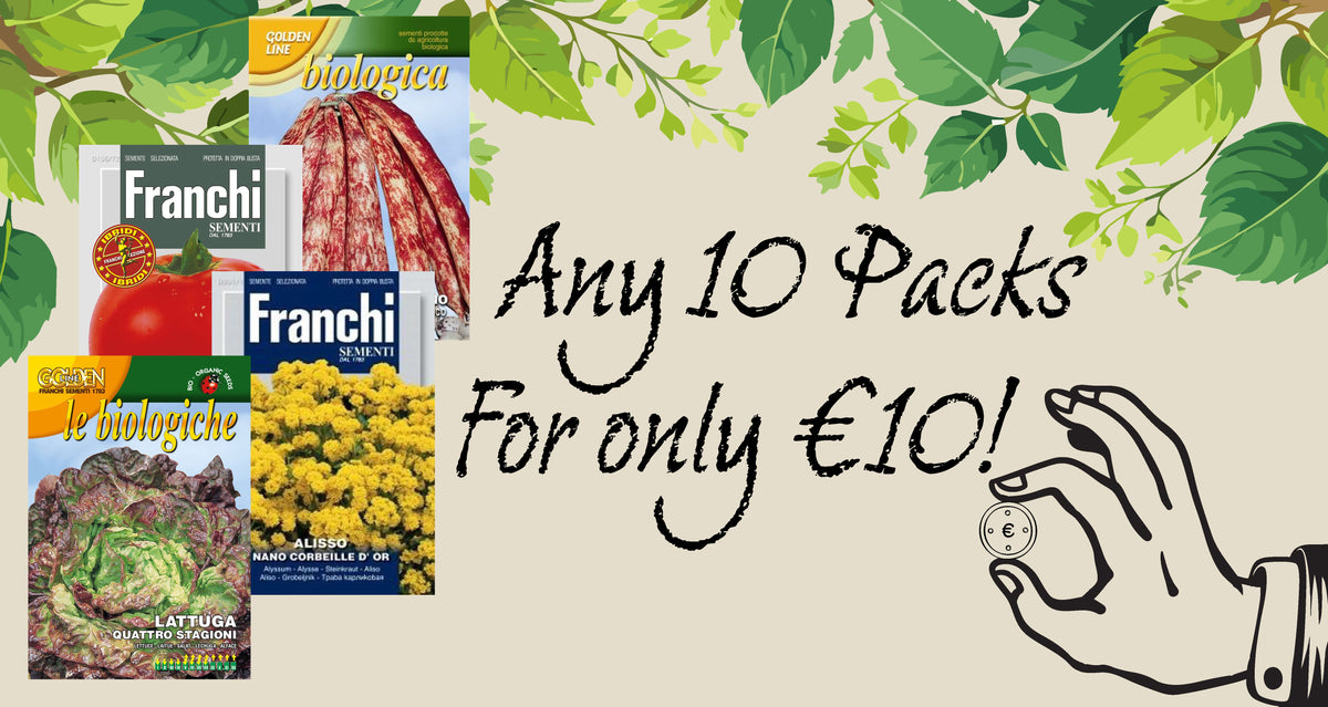 Franchi Seeds Clearance sale | Greens of Ireland